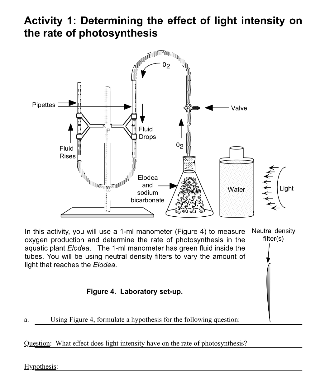 Solved Activity 1: Determining the effect of light intensity | Chegg.com
