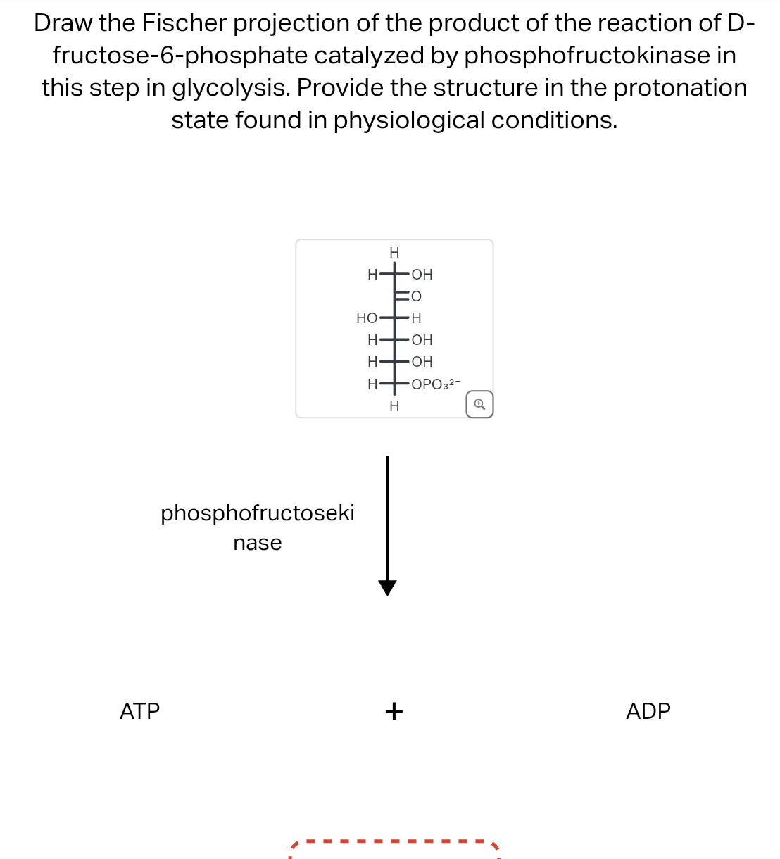 Draw the Fischer projection of the product of the | Chegg.com