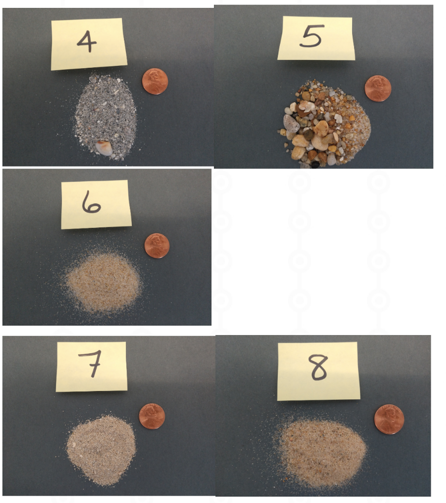 Solved From your macroscopic observation, answer the | Chegg.com