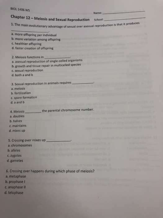 Solved BIOL 1406 ws Chapter 12- Meiosis and Sexual | Chegg.com