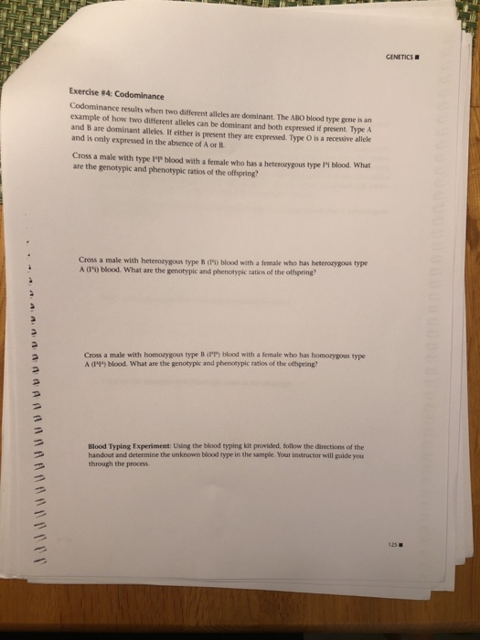 Solved GENETICS Exercise #4: codominance Codominance results | Chegg.com