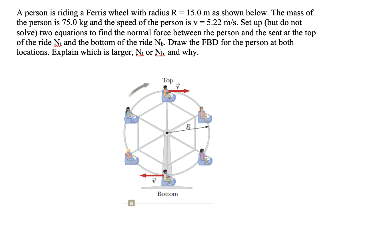 Solved A person is riding a Ferris wheel with radius R=15.0 | Chegg.com