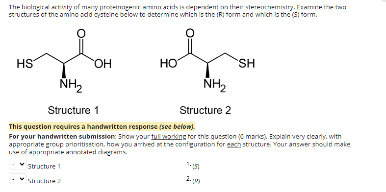 Solved The biological activity of many proteinogenic amino | Chegg.com