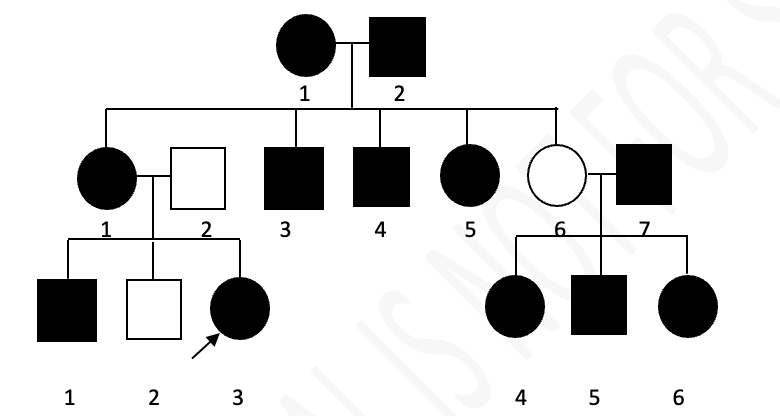 Solved 1 Give The Probable Mode Of Inheritance And Justify