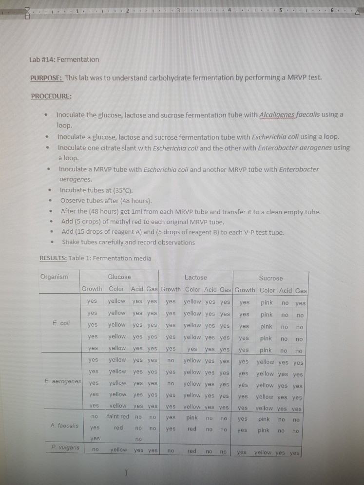 Solved Lab #14: Fermentation PURPOSE: This lab was to | Chegg.com