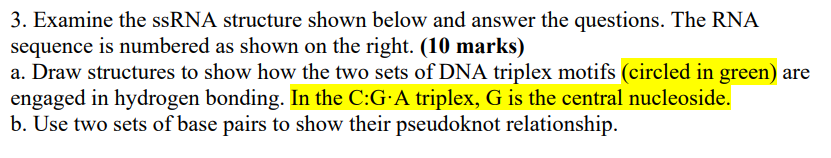 3. Examine the ssRNA structure shown below and answer | Chegg.com
