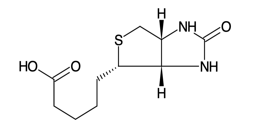 Solved Circle the functional groups present in the next | Chegg.com