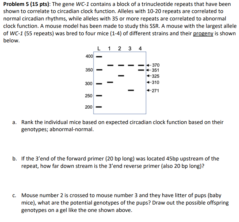 Solved Problem 5 (15 ﻿pts): The gene WC-1 ﻿contains a block | Chegg.com