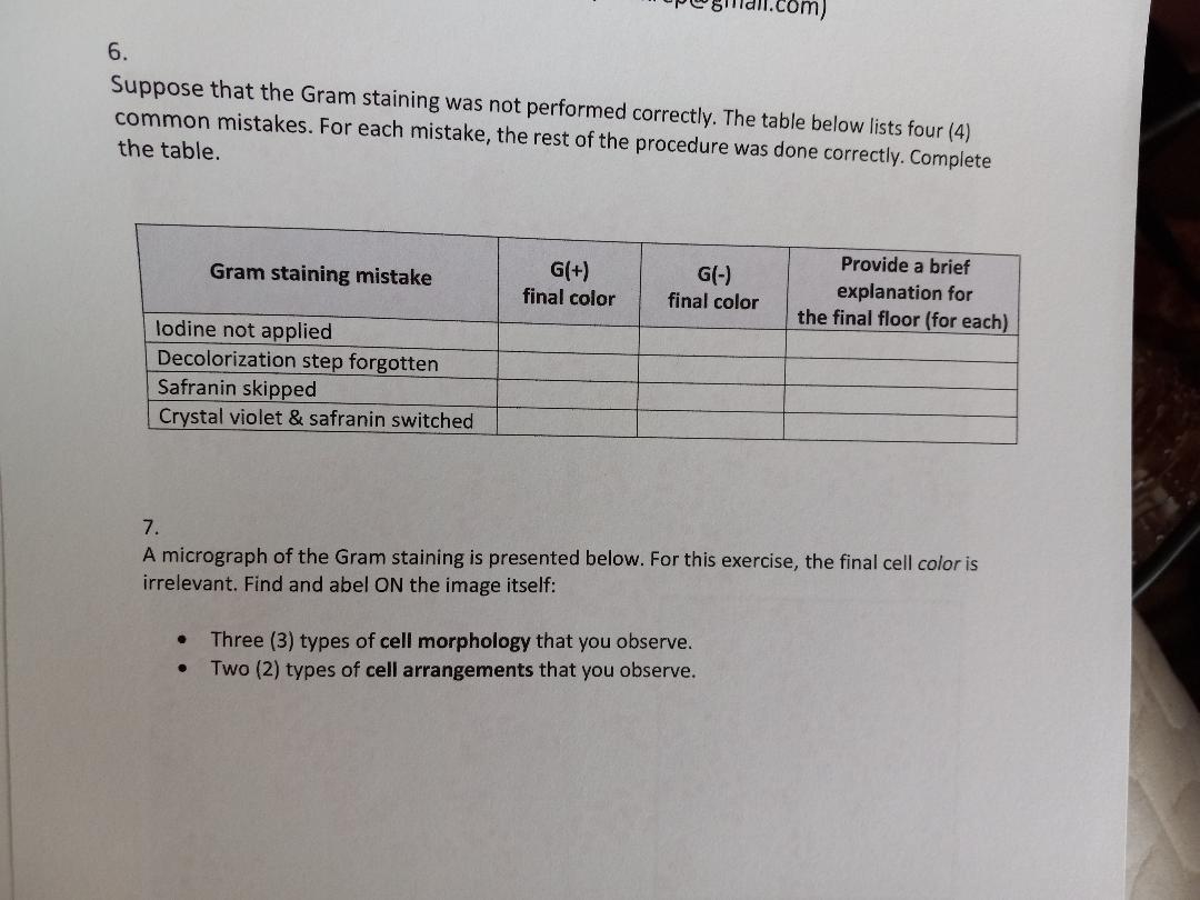 Solved Nekrep innekrep@gmail.com) GRAM STAINING WORKSHEET 1. | Chegg.com