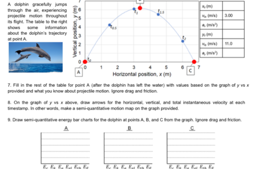 Solved A dolphin gracefully jumps through the air, | Chegg.com