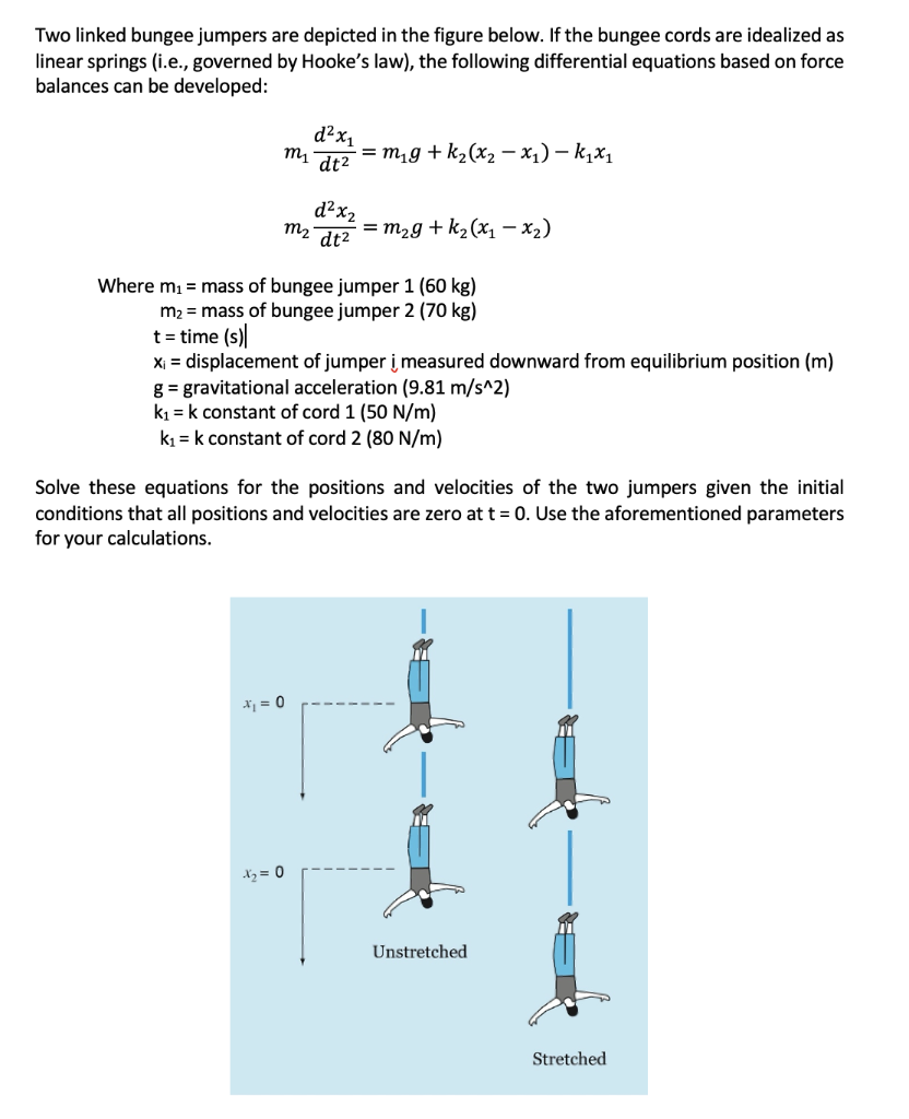 Solved Two linked bungee jumpers are depicted in the figure | Chegg.com