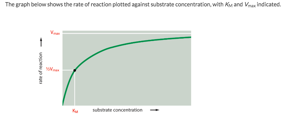 Solved The graph below shows the rate of reaction plotted | Chegg.com