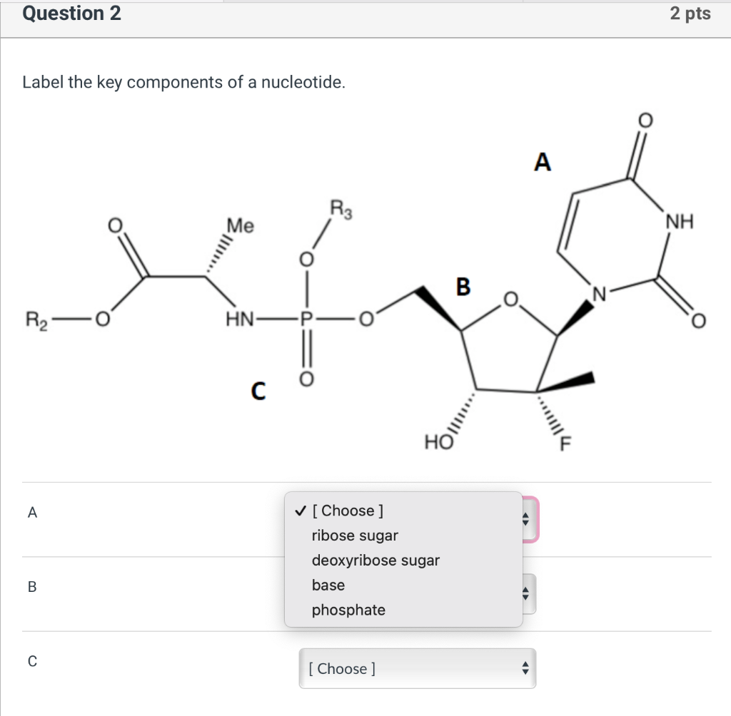 Solved Label the key components of a nucleotide. | Chegg.com