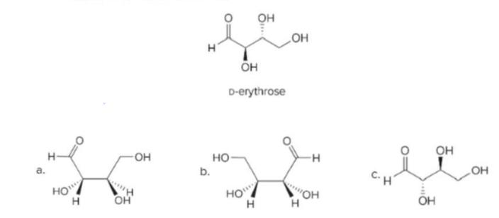 Solved Indicate the relationship of each compound with the | Chegg.com