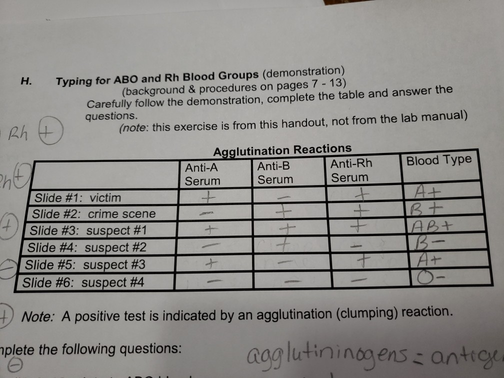 Solved H. Typing for ABO and Rh Blood Groups (demonstration) | Chegg.com