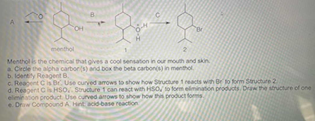 Solved Menthol is the chemical that gives a cool sensation | Chegg.com