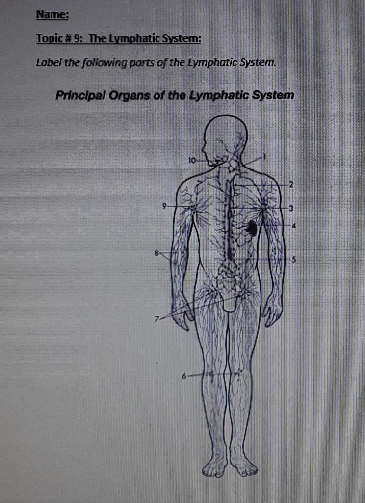 Solved Name: Topic #9: The Lymphatic System: Label the | Chegg.com