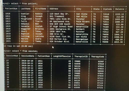 Styles Paragraph Chapter 3 Assignment Write the SQL | Chegg.com