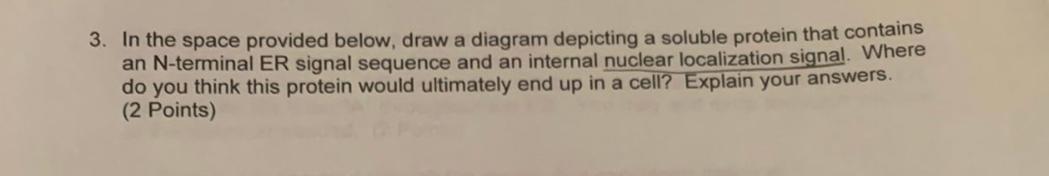 3. In the space provided below, draw a diagram | Chegg.com