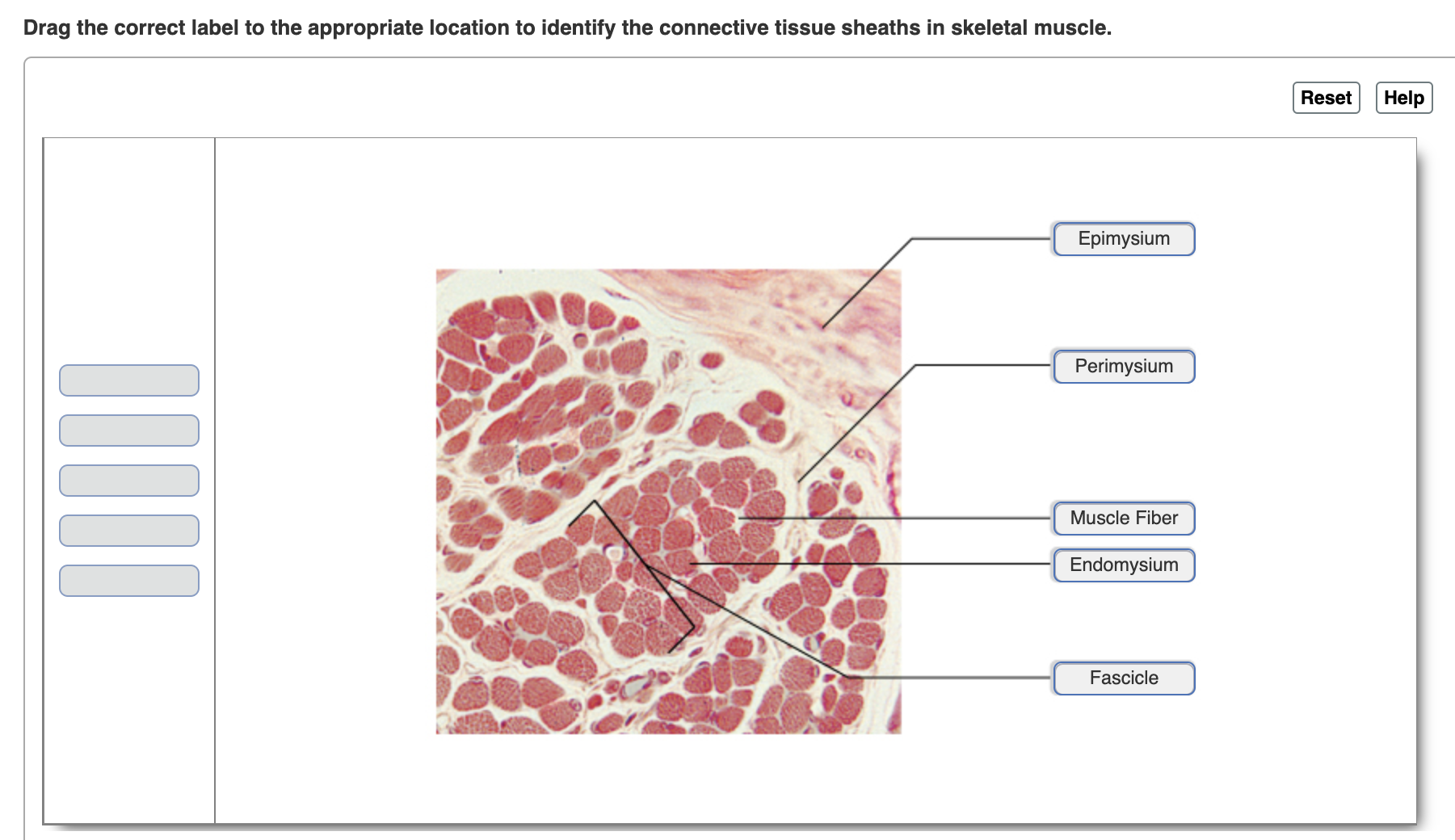 Solved Drag the correct label to the appropriate location to | Chegg.com