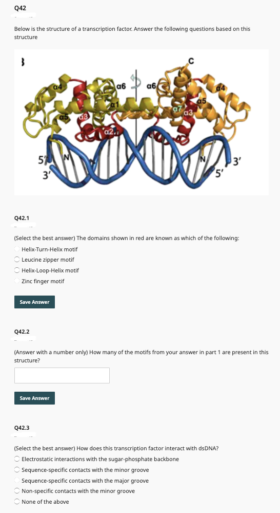 Solved What are the answers to the multiple choice | Chegg.com