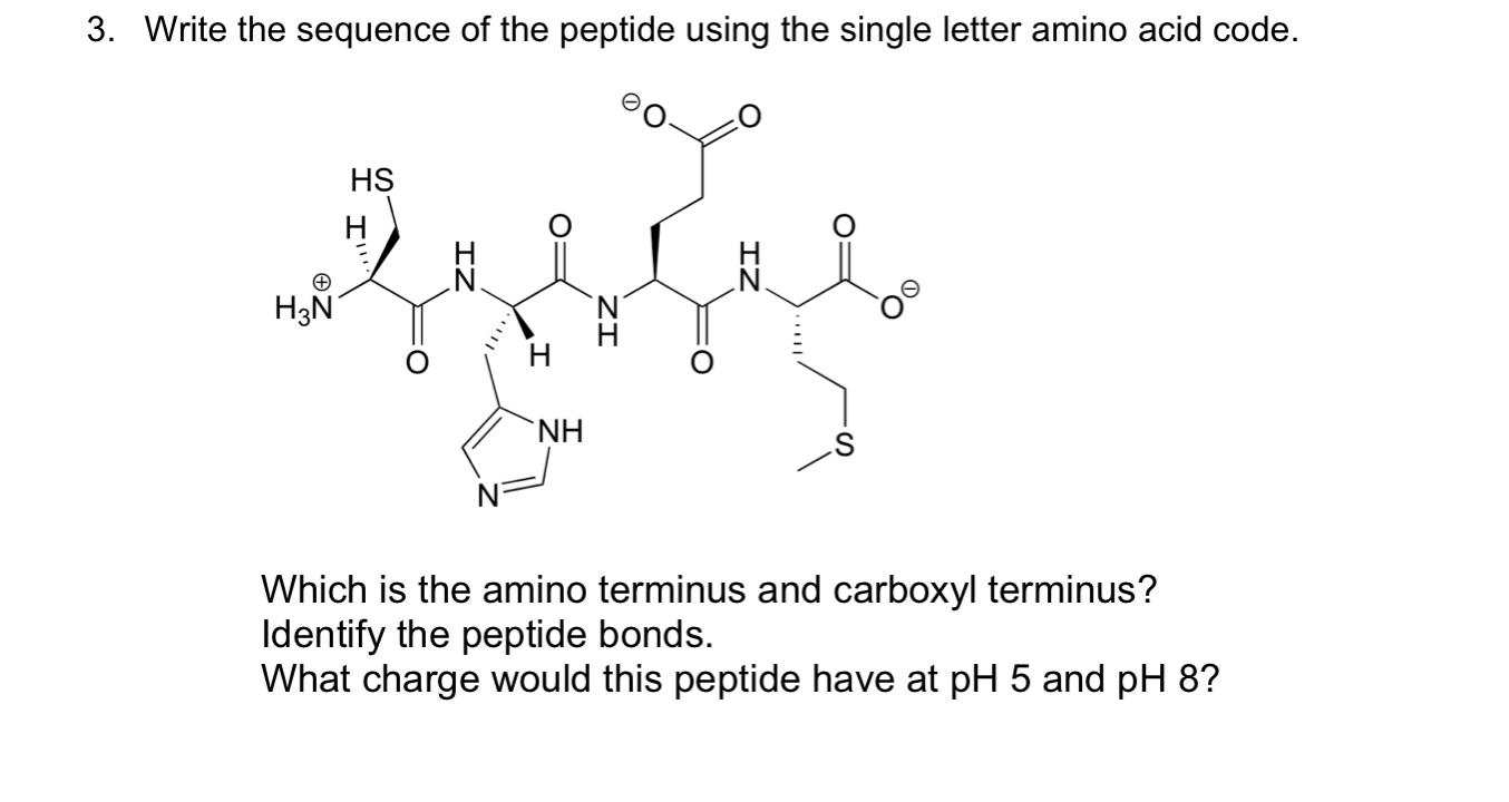 Solved 3. Write the sequence of the peptide using the single | Chegg.com