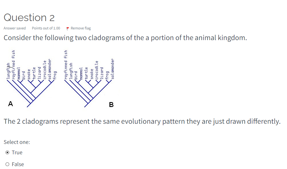 Solved Consider the following two cladograms of the a | Chegg.com