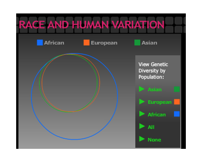 Solved Both images represent patterns of genetic variation | Chegg.com