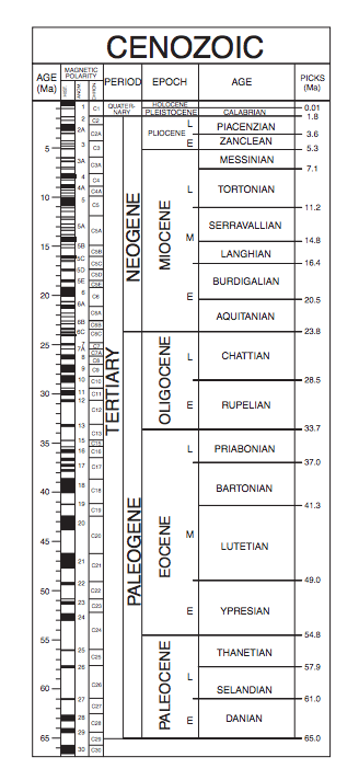 Solved True distance between points True length of scale bar | Chegg.com