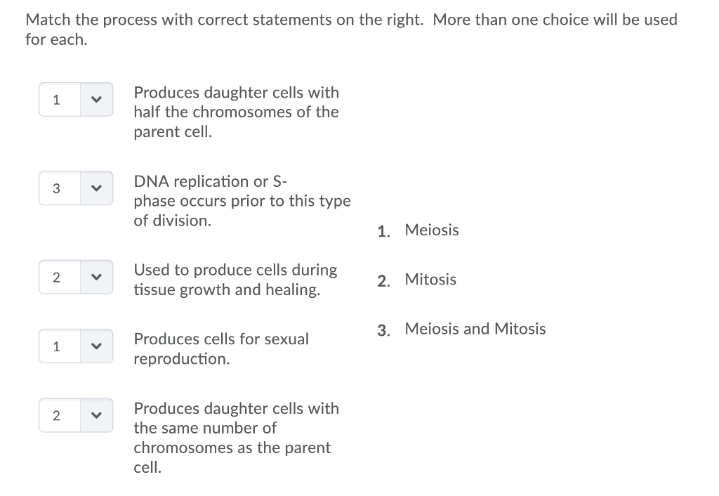 Solved Match the process with correct statements on the | Chegg.com
