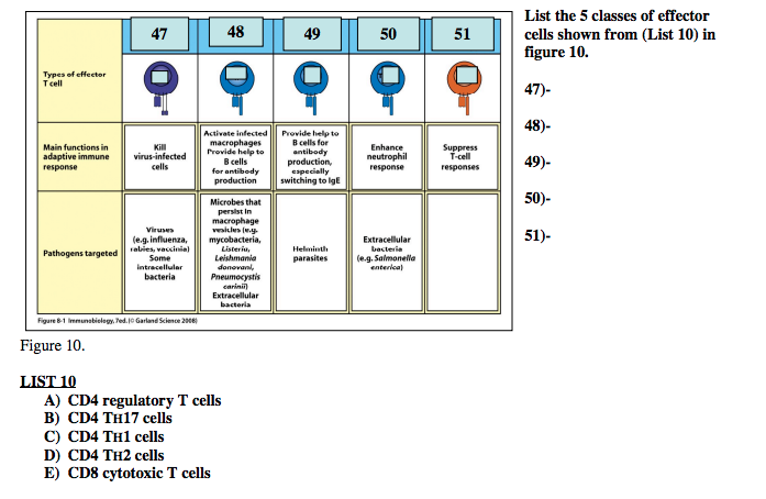 Solved List the 5 classes of effector cells shown from (List | Chegg.com