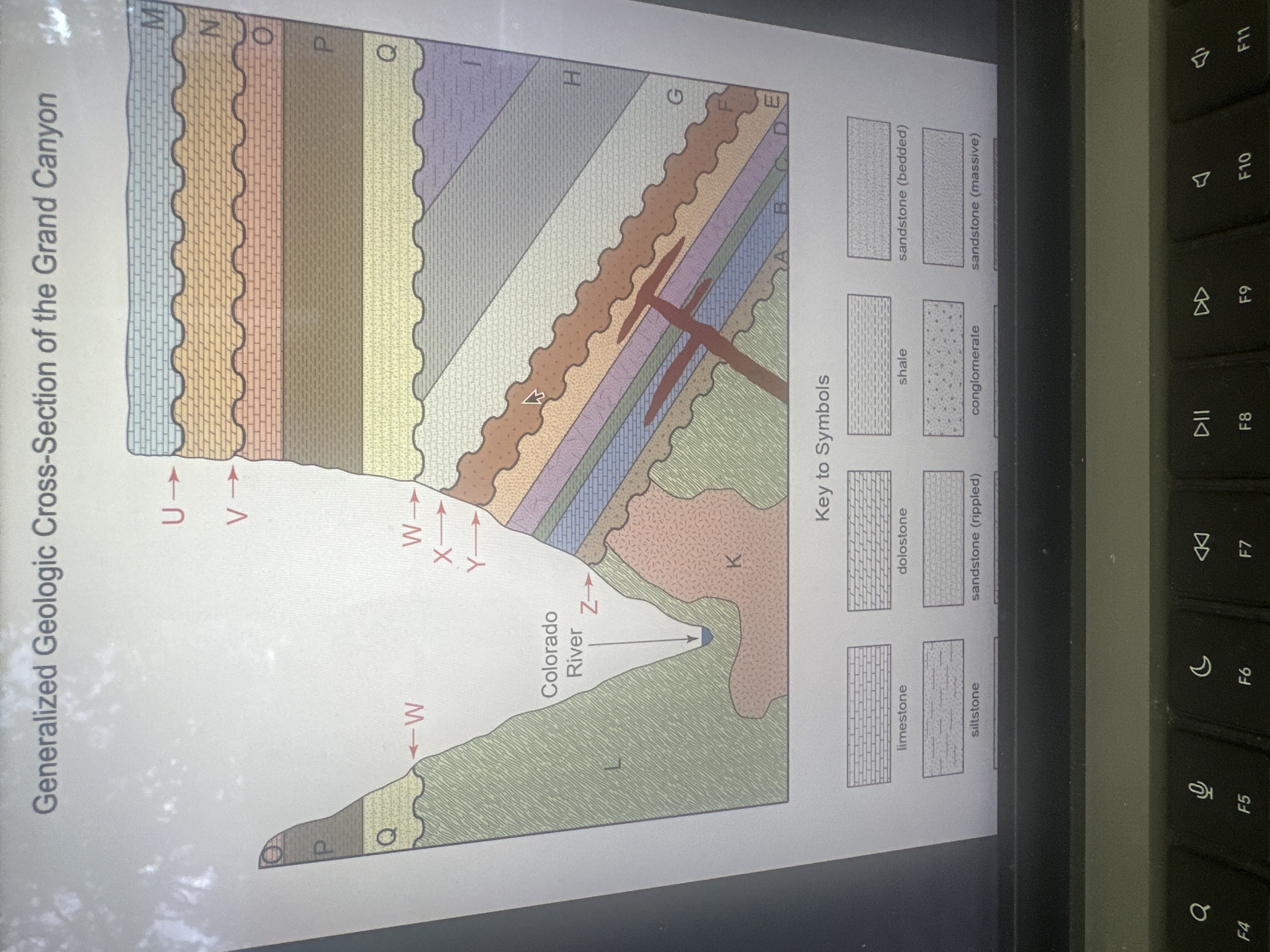 Solved Generalized Geologic Cross-Section of the Grand | Chegg.com