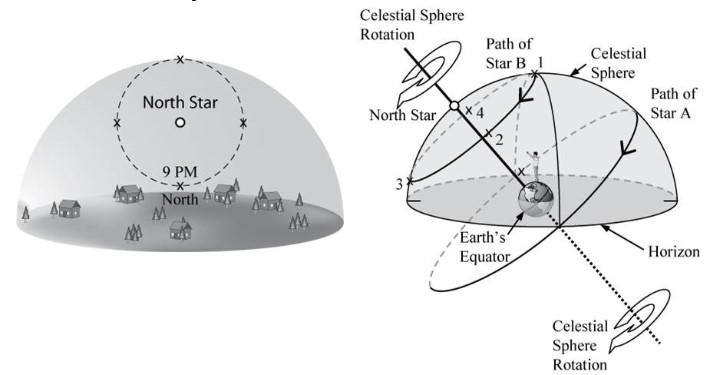 Solved Use the figure above to answer the questions | Chegg.com