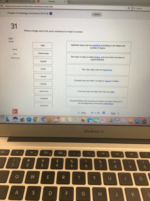 Solved htps C Q Search Chapter 5 Histology Homework (51-5.4) | Chegg.com