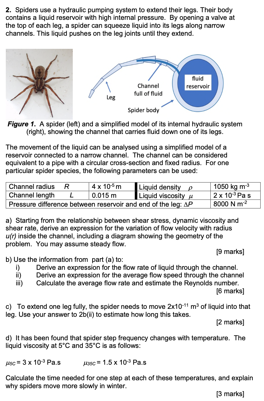 Solved 2. Spiders use a hydraulic pumping system to extend | Chegg.com