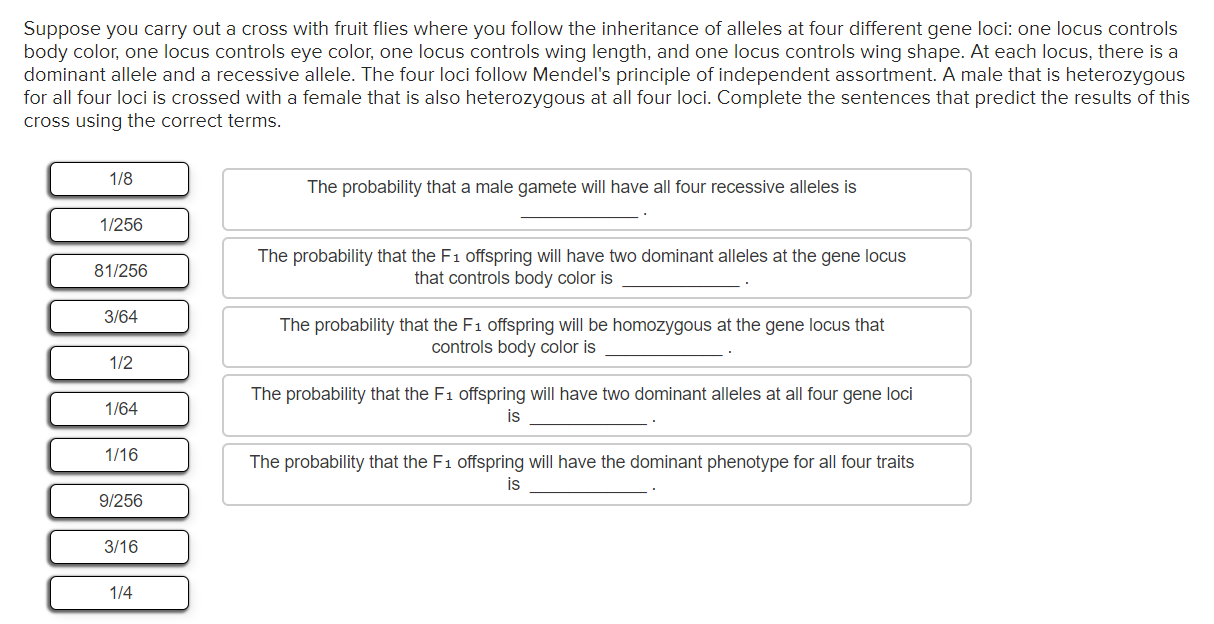 Solved Suppose you carry out a cross with fruit flies where | Chegg.com
