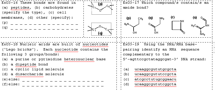 Solved (P) Ex03-17 Which compounds contains an amide bond? | Chegg.com