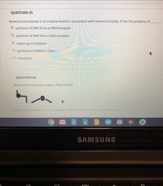 Solved QUESTION 25 Reverse transcriptase is an enzyme found | Chegg.com