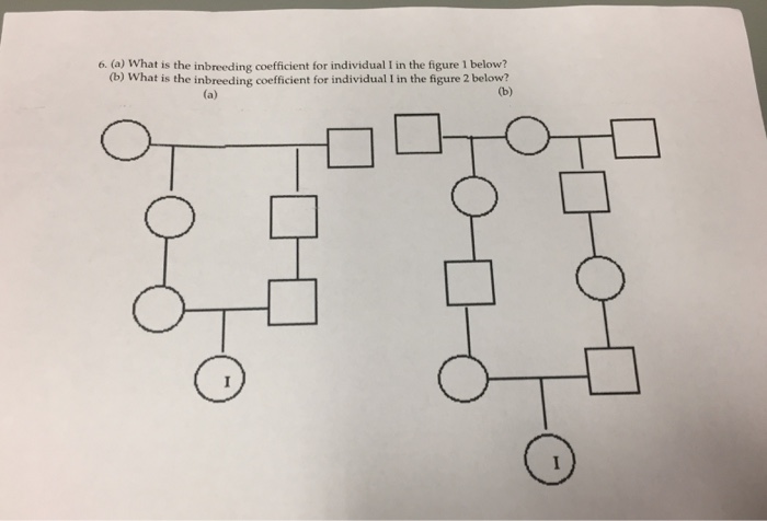 Solved 6. (a) What is the inbreeding coefficient for | Chegg.com
