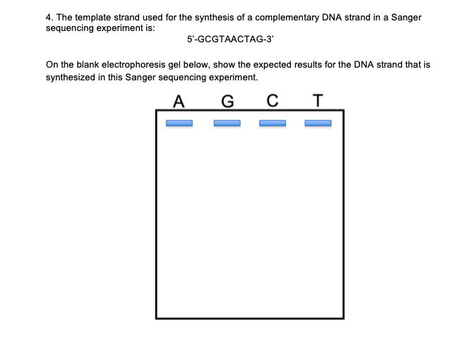 Solved 4. The template strand used for the synthesis of a | Chegg.com