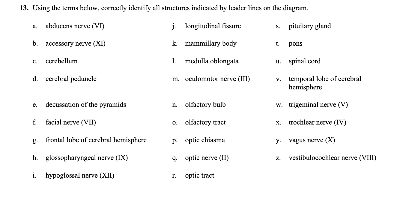 Solved 13. Using the terms below, correctly identify all | Chegg.com