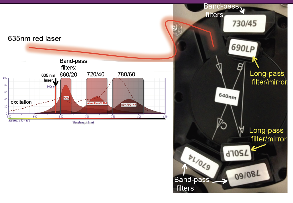 Solved n a multi-detector array (e.g. octagon or trigon | Chegg.com