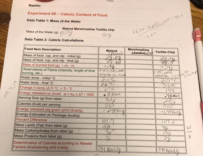 Name: Experiment 05- Caloric Content of Food Data | Chegg.com