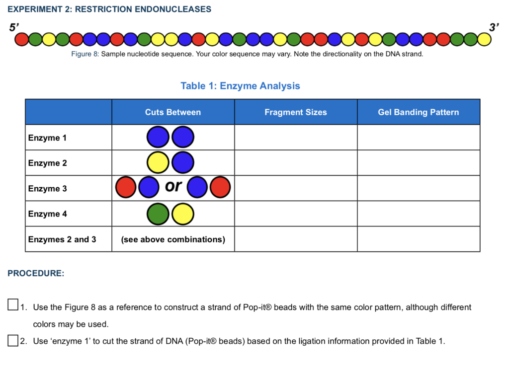 Solved EXPERIMENT 2: RESTRICTION ENDONUCLEASES Figure 8: | Chegg.com