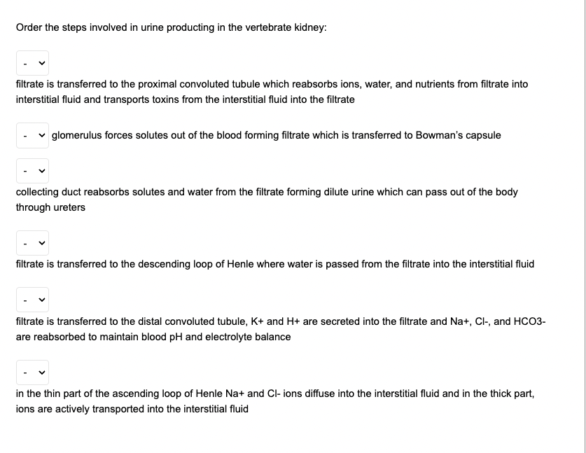 Solved Order the steps involved in urine producting in the | Chegg.com