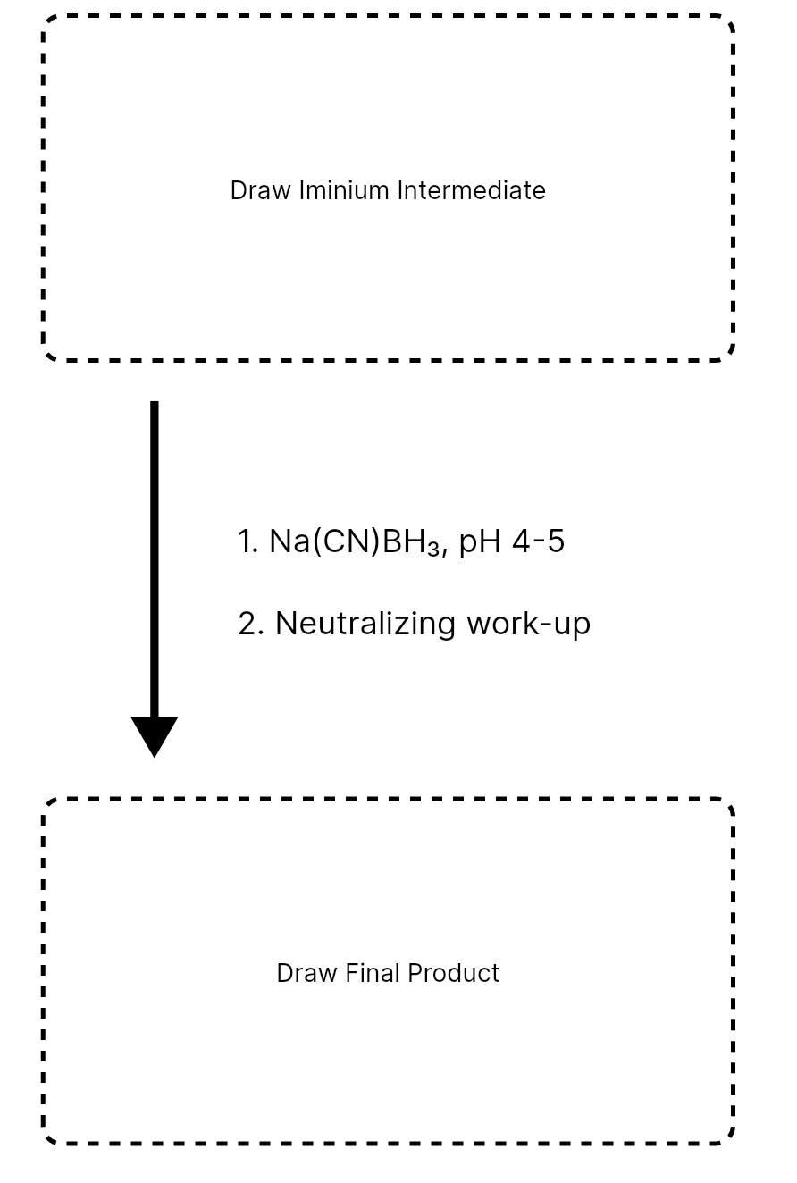 Solved In the reductive amination reaction, there are two | Chegg.com