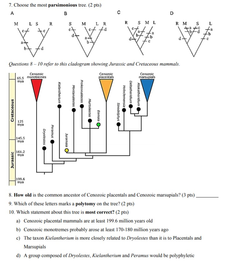 Solved 7. Choose the most parsimonious tree. (2 pts) A B C D | Chegg.com