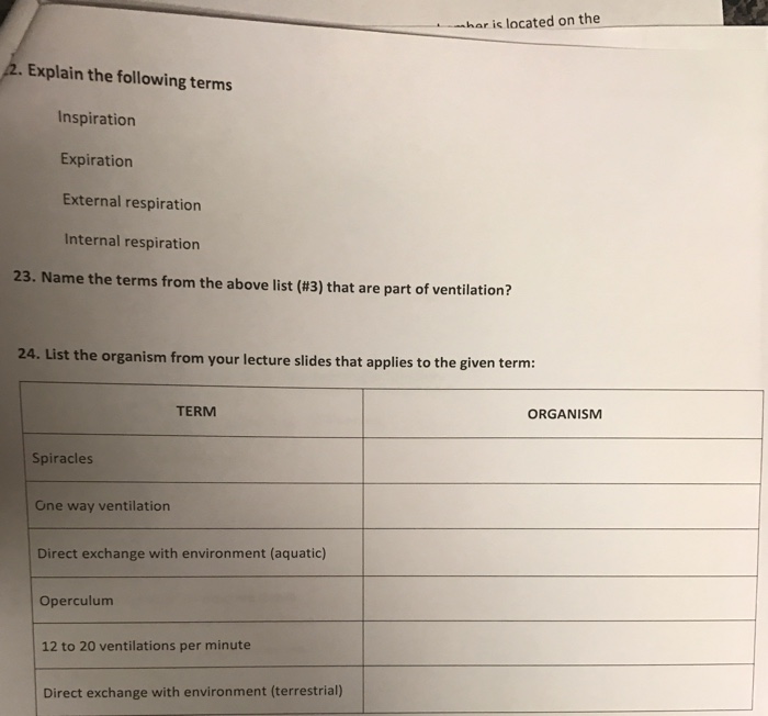 Solved Explain the following terms Inspiration Expiration | Chegg.com