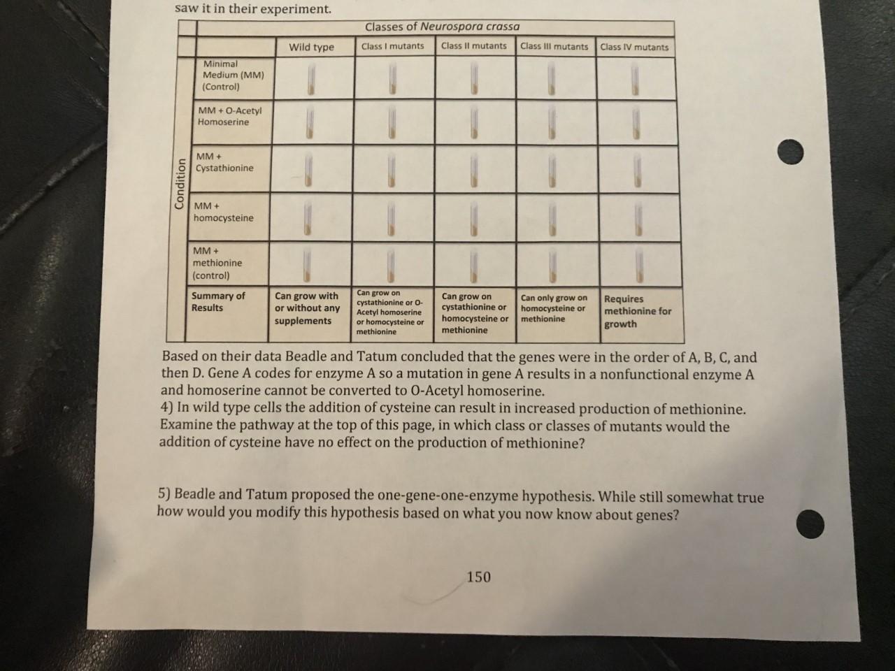 Solved saw it in their experiment. Classes of Neurospora | Chegg.com