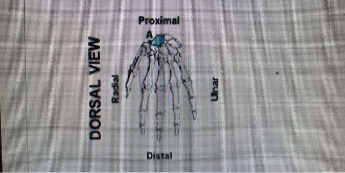 Solved identify structure A | Chegg.com